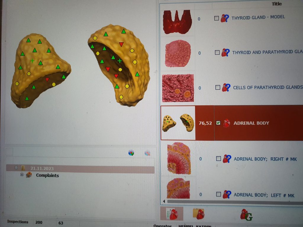 Benefits of Bioresonance Therapy | London Natural Therapies